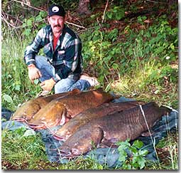A knowledge of flathead behavior and a lot of patience is requires to ...