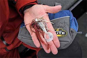 While jig head shapes imply specific bass fishing techniques they can ...