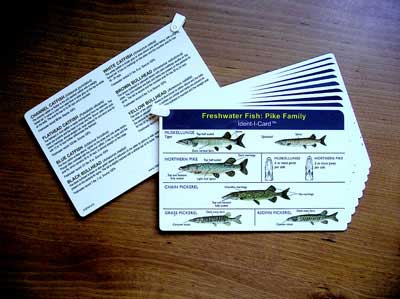 LandBigFish - Fishing Tackle Martketplace