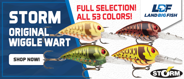 Storm Wiggle Wart Color Chart