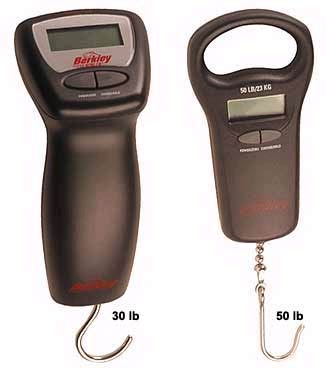 Berkley Digital Fish Scales