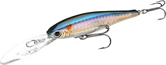 Lucky Craft Pointer XD Series