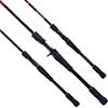Pro Series Casting Rod